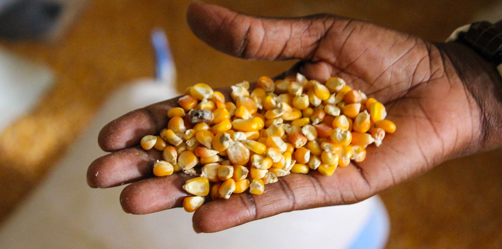 Modernizing agricultural value chains in Cameroon | Global Agriculture ...