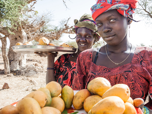 Supporting Smallholder Mango and Milk Supply Chain Development in ...