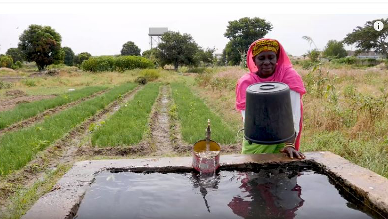 The Food and Agriculture Sector Development Project (FASDEP) | Global ...