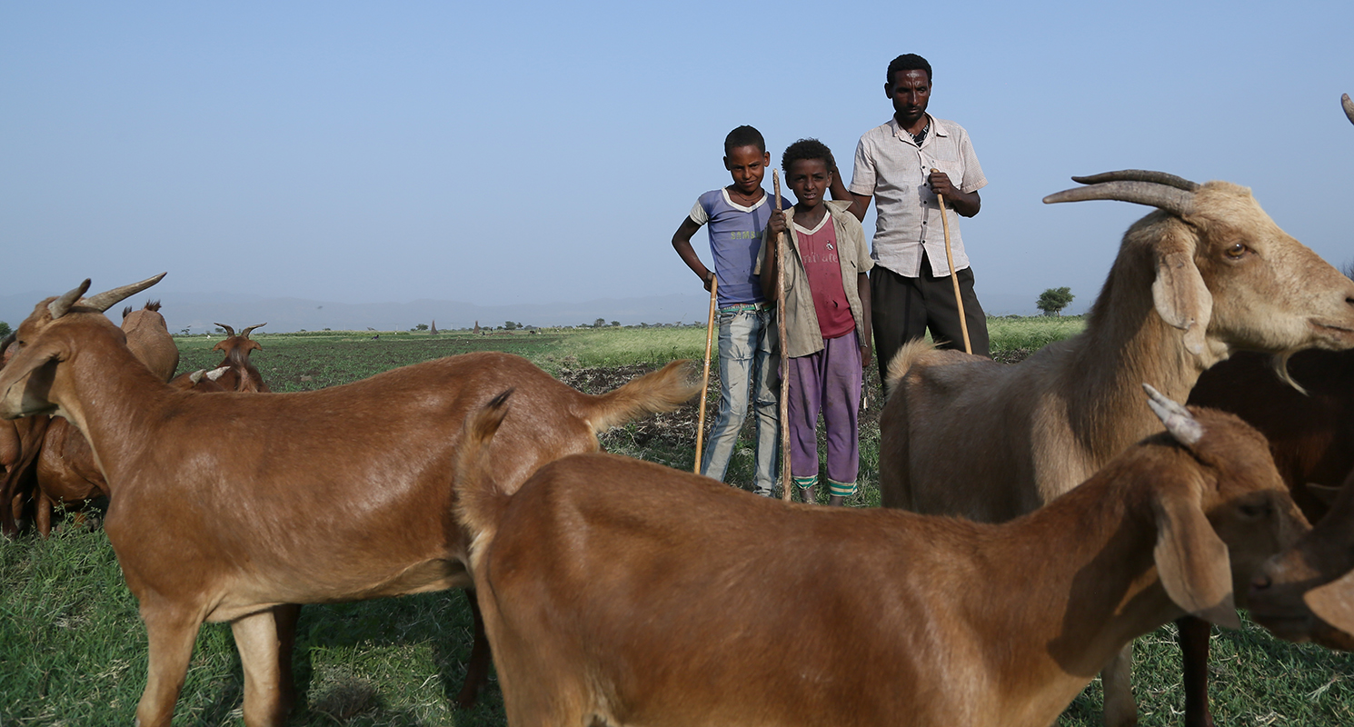 Working with Smallholders in Ethiopia to Create a Market for Quality ...