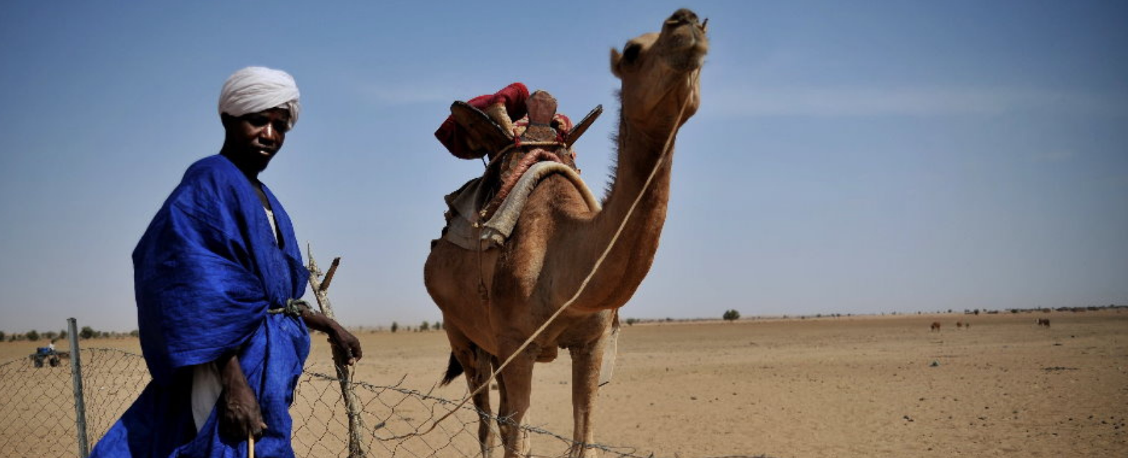 Investing in Dairy Production Protects an Ancient Way of Life in the ...