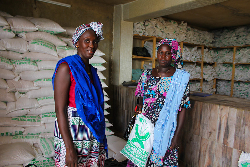 How smallholder farmers bounced back during the health crisis | Global ...