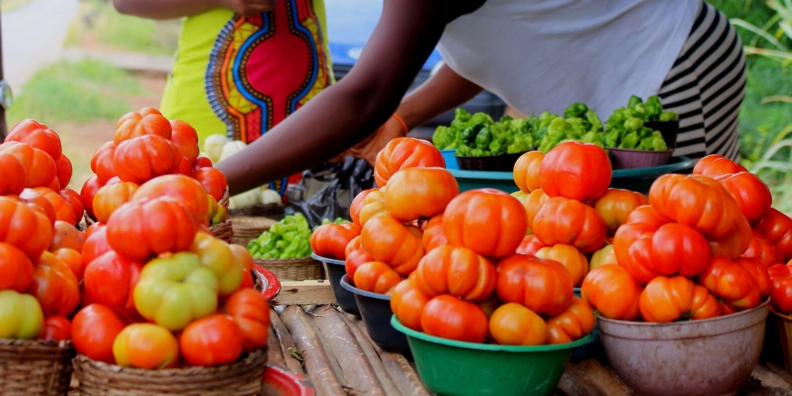 Global Agriculture and Food Security Program