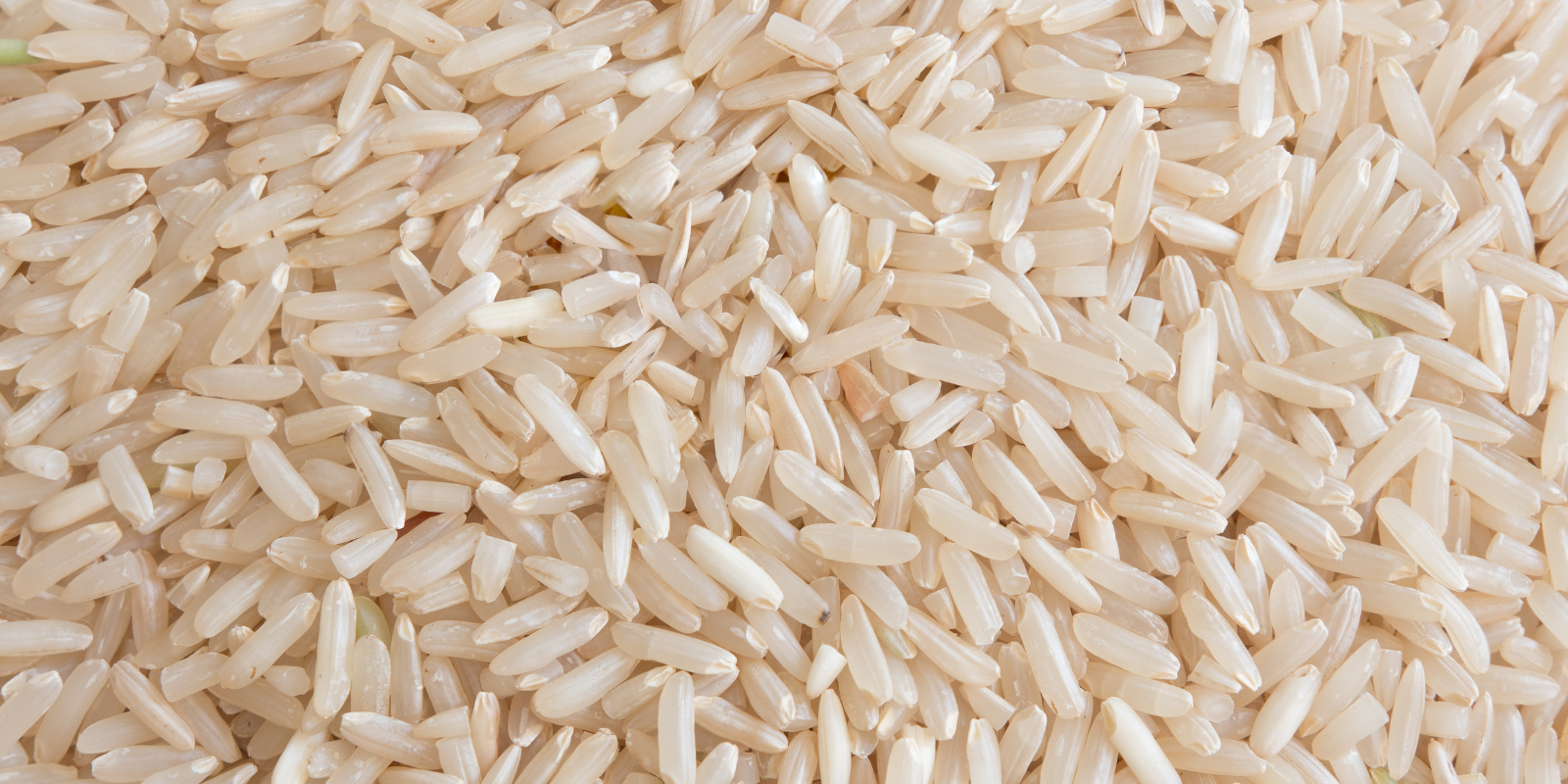 Insight Series: More than a Grain of Strength in Mali’s Rice | Global ...