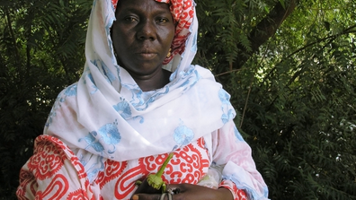 Promotion of Gender-sensitive Agricultural Value Chains and Women's ...