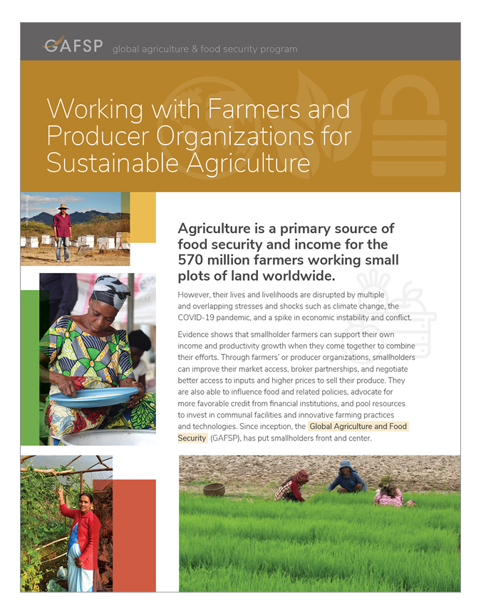 Working with Farmers and Producer Organizations for Sustainable ...