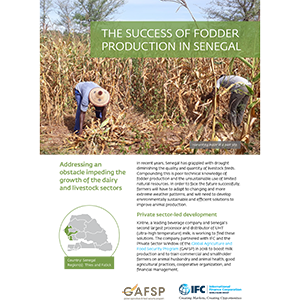 In Senegal, GAFSP is Helping Dairy Farmers Boost Milk Supply and ...