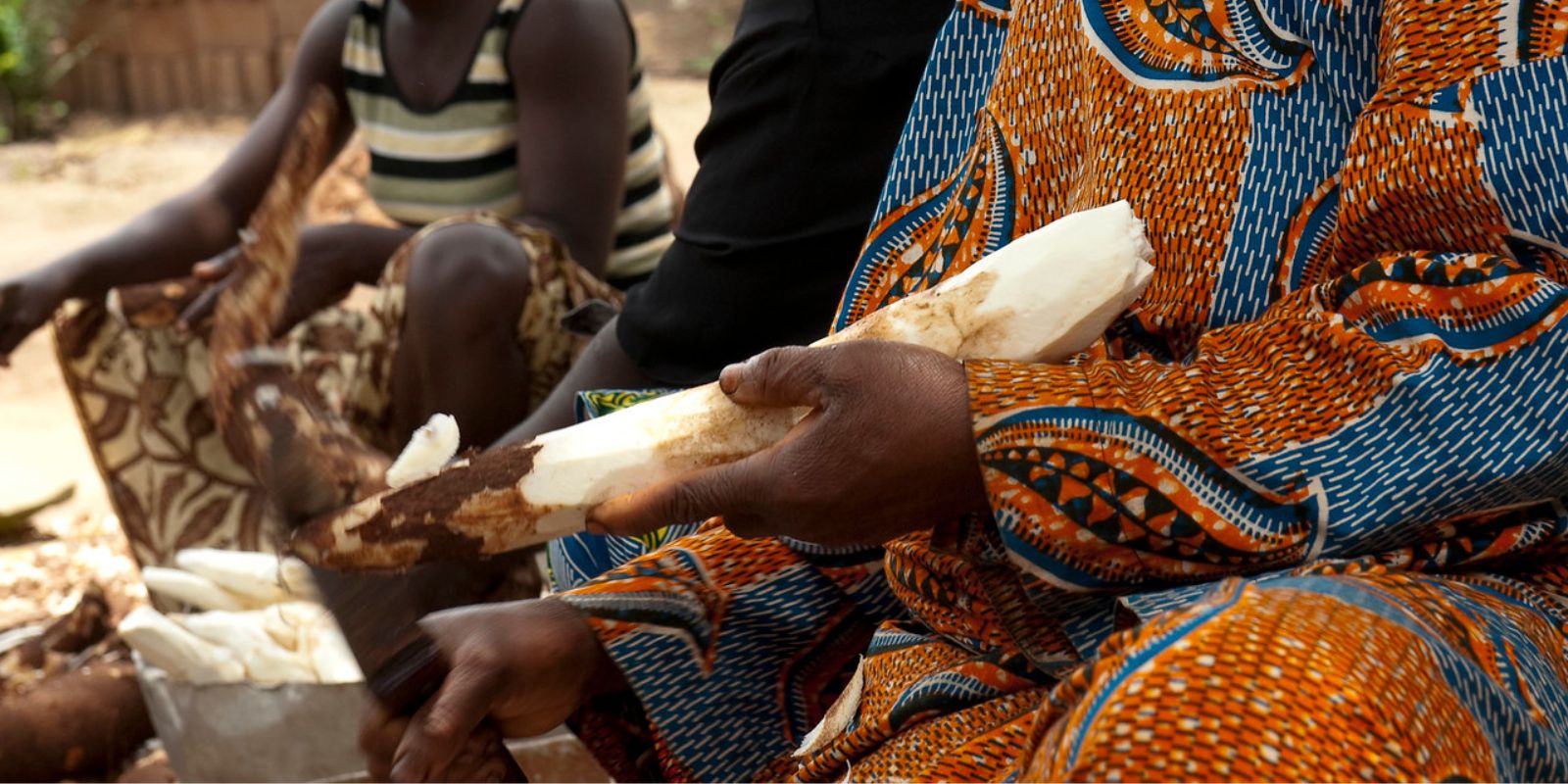 Global Agriculture and Food Security Program