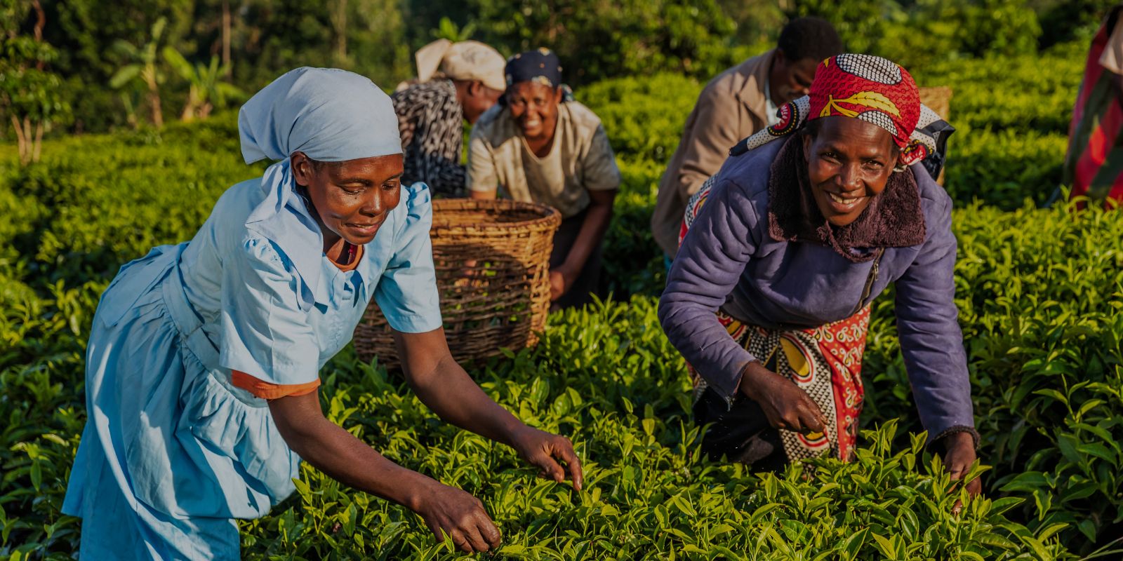 Global Agriculture and Food Security Program