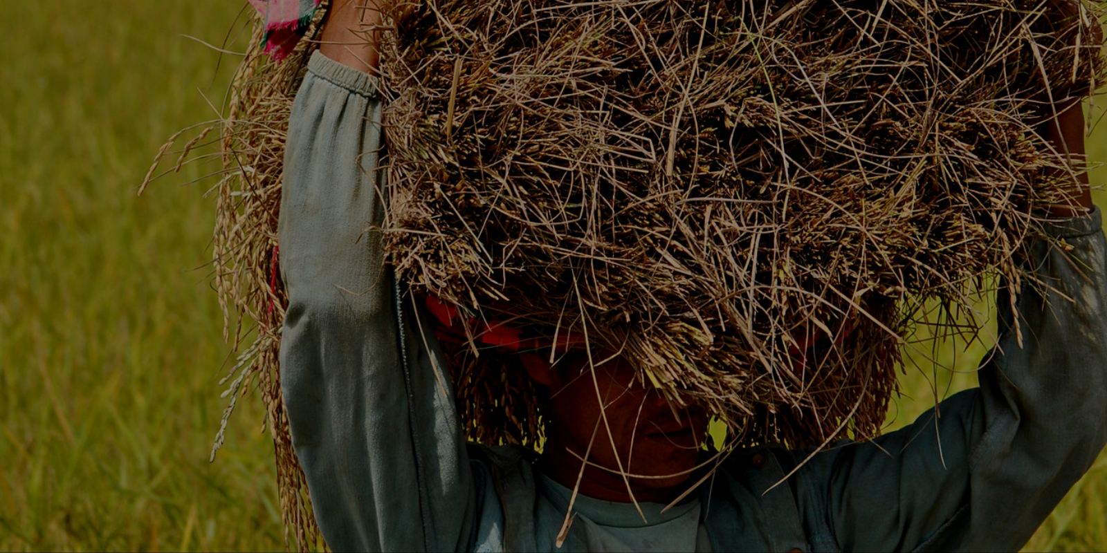 New IFAD- and GAFSP-funded project to scale up successful approaches to ...