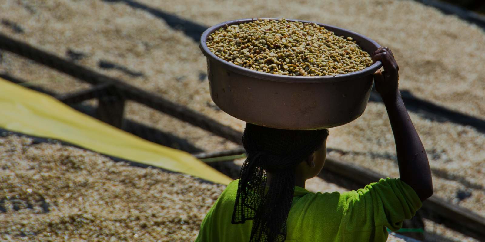 Fighting Hunger: A Rwandan Farmer's Story | Global Agriculture and Food ...