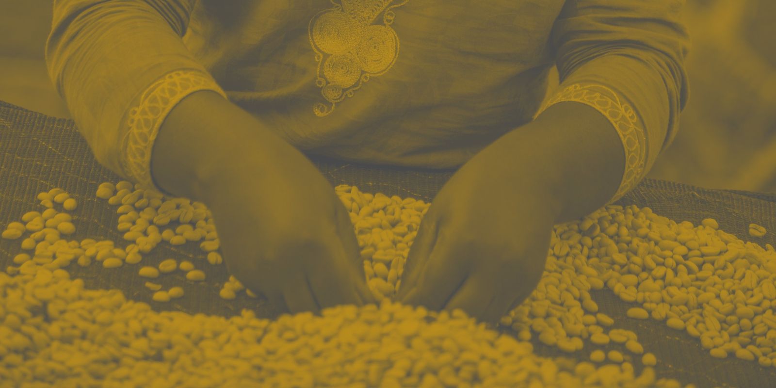 Training for Women Farmers Boosts Opportunity—and Ambition | Global ...