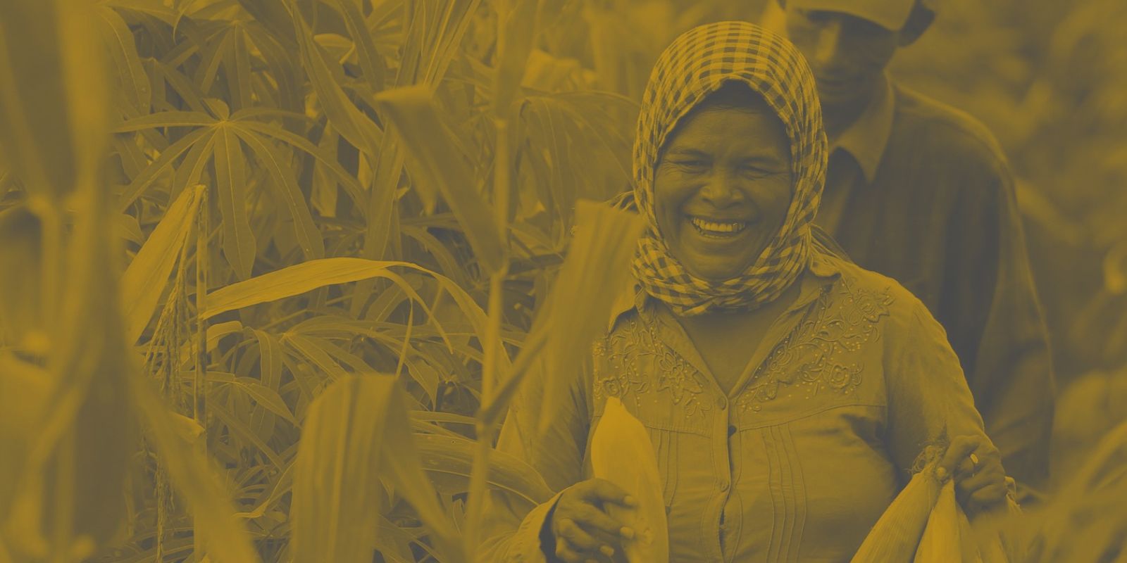 GAFSP Provides New Funding for Countries to Strengthen the Resilience ...