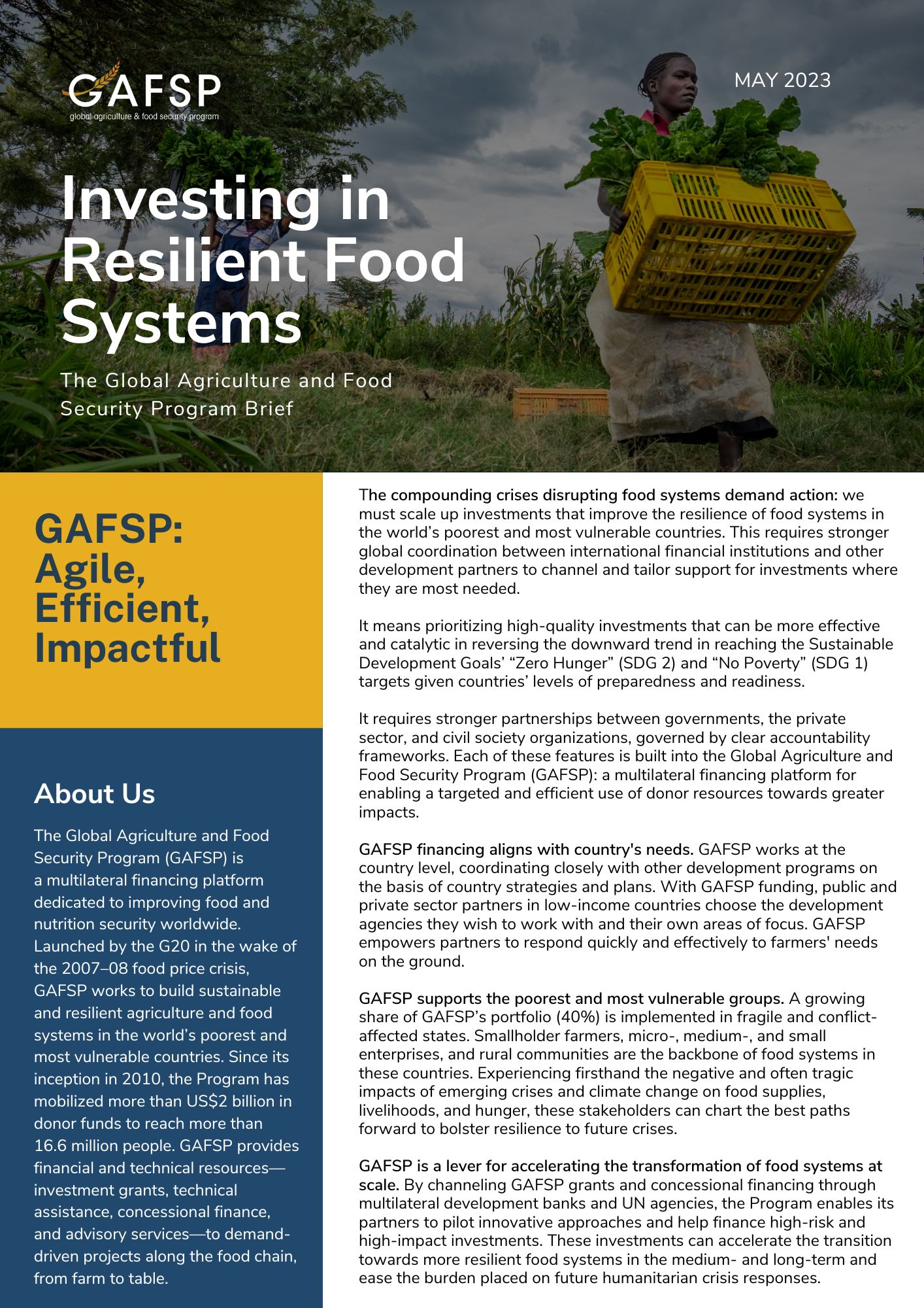 GAFSP Program Brief | Global Agriculture and Food Security Program