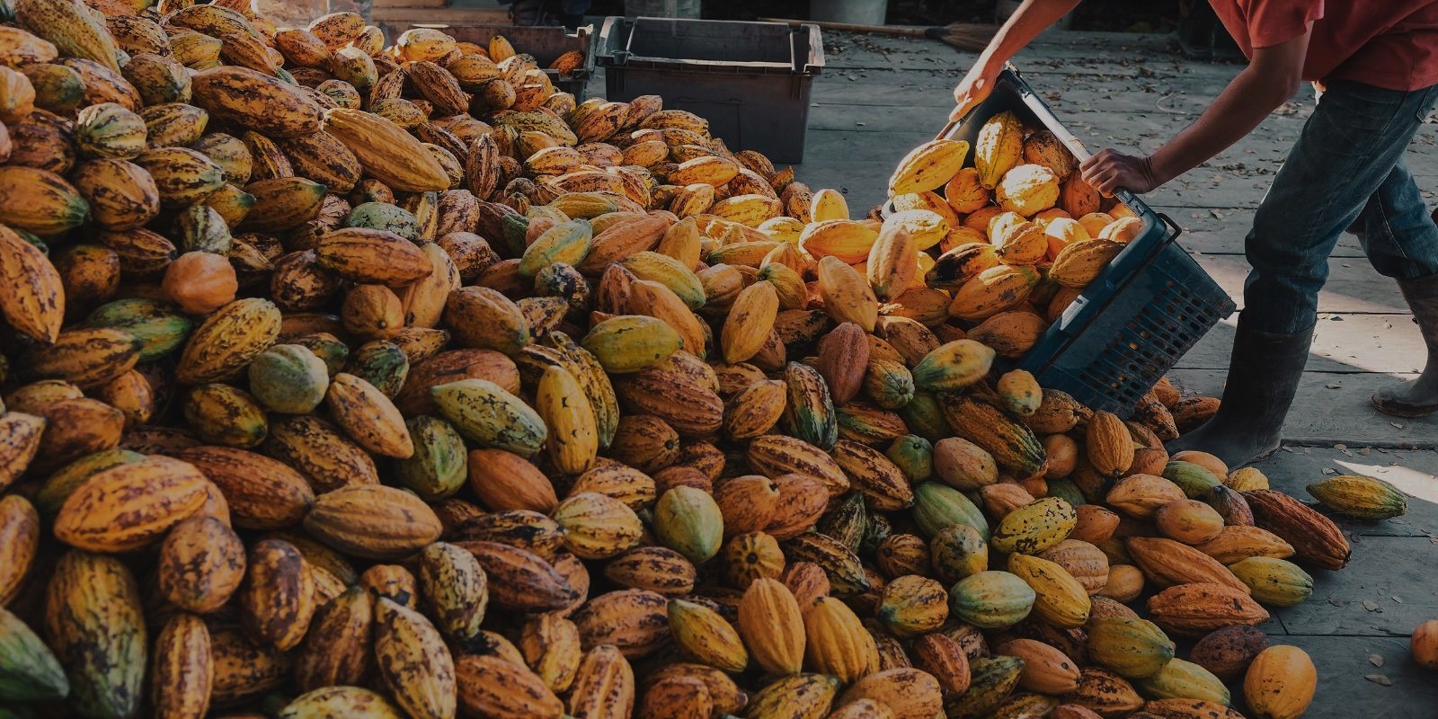 It’s Time to Fix Our Food Systems | Global Agriculture and Food ...