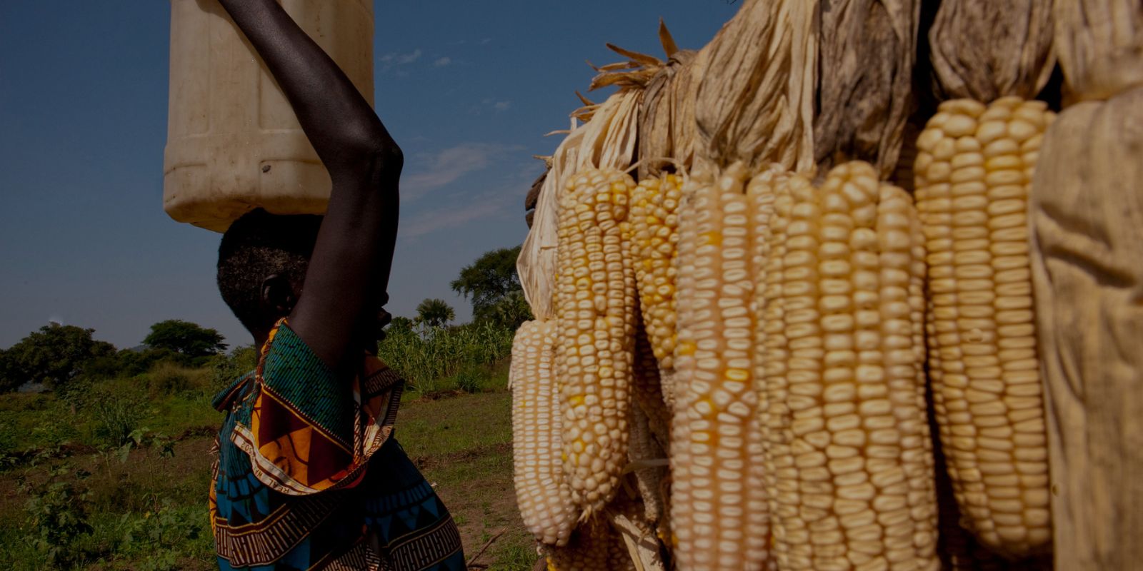 South Sudan Livelihood Resilience Project (SSLRP) | Global Agriculture ...