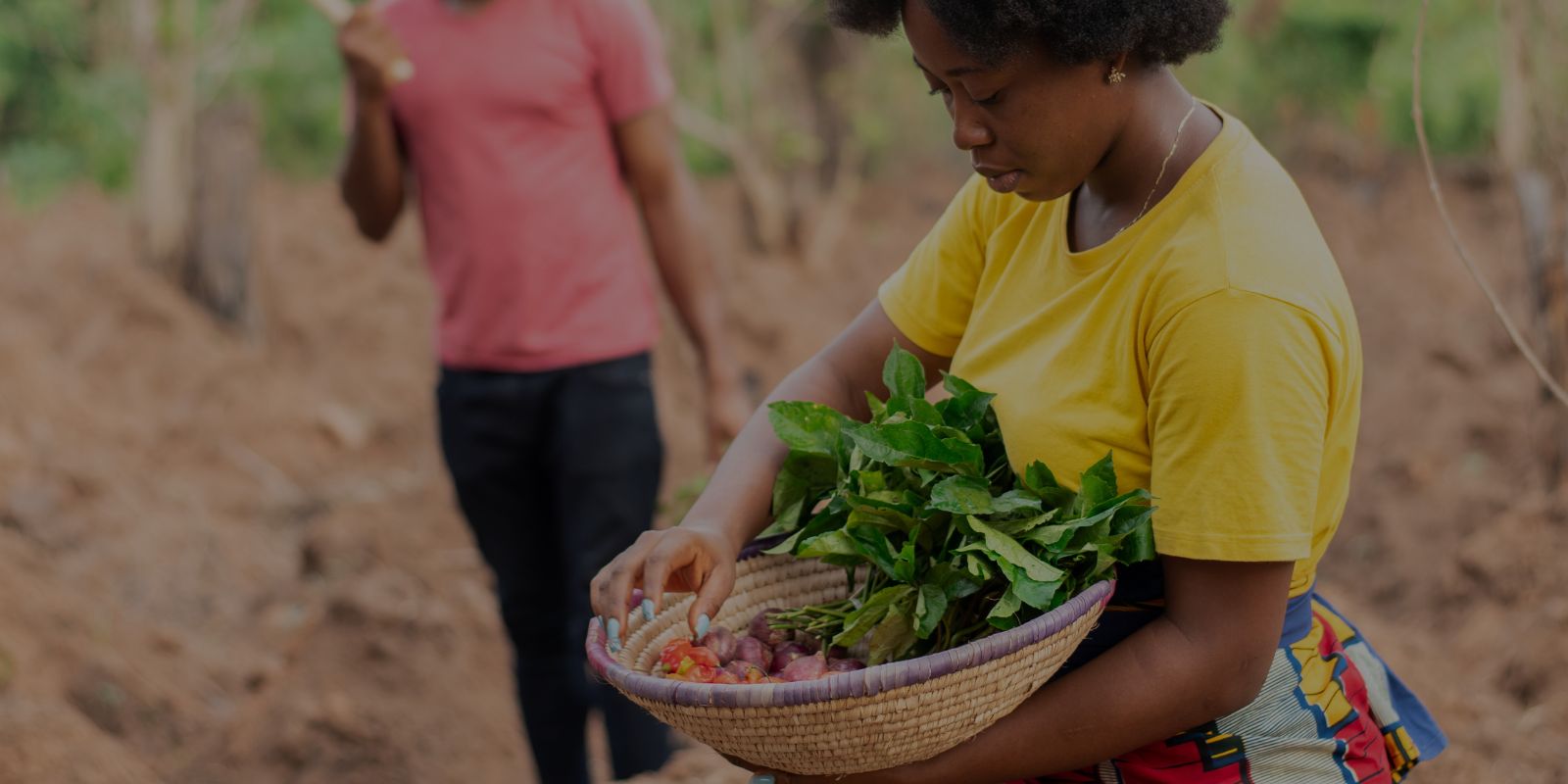 Global Agriculture and Food Security Program