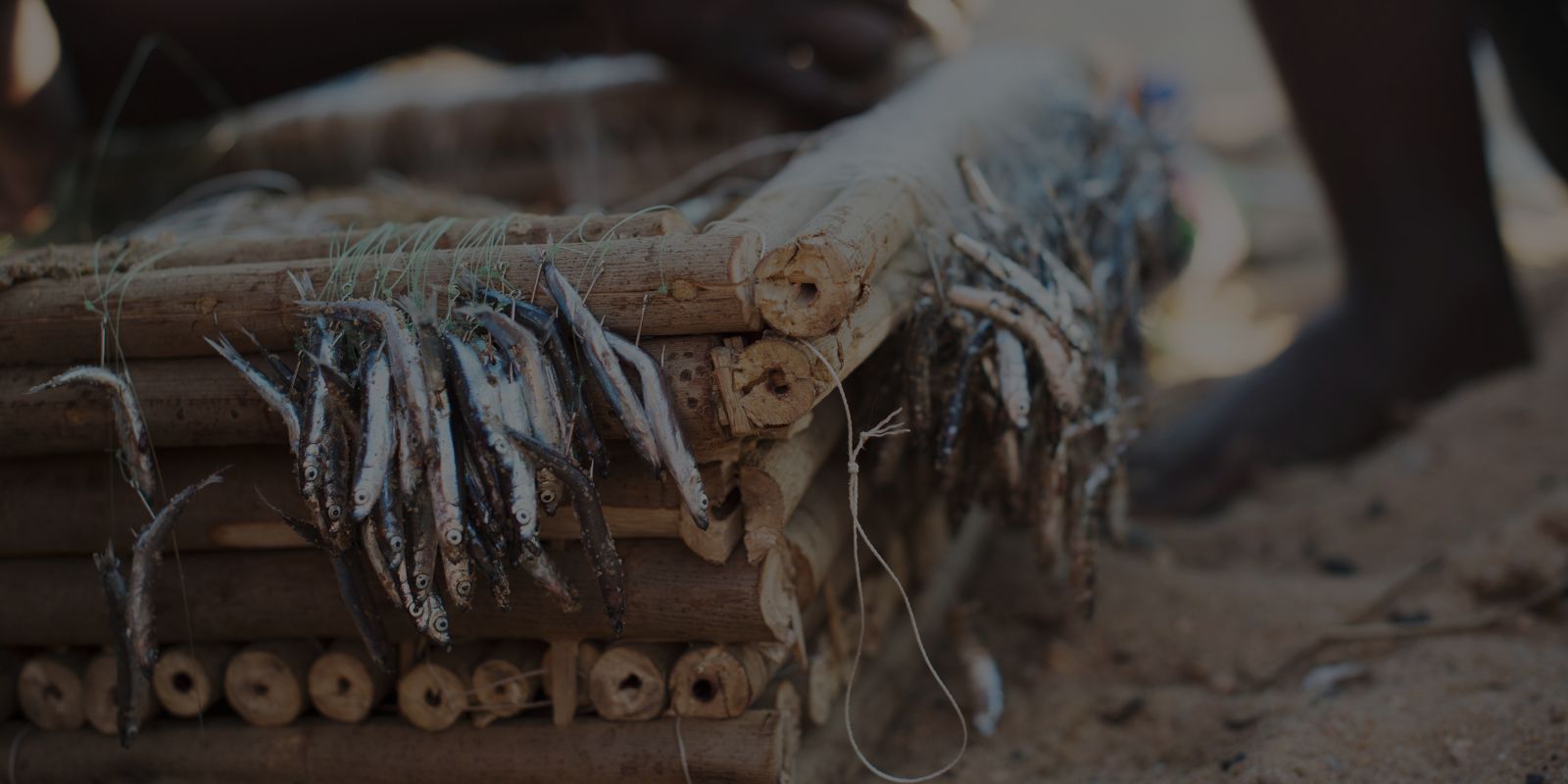 Scaling Up the Management of Fish Reproductive Areas through Fishery ...