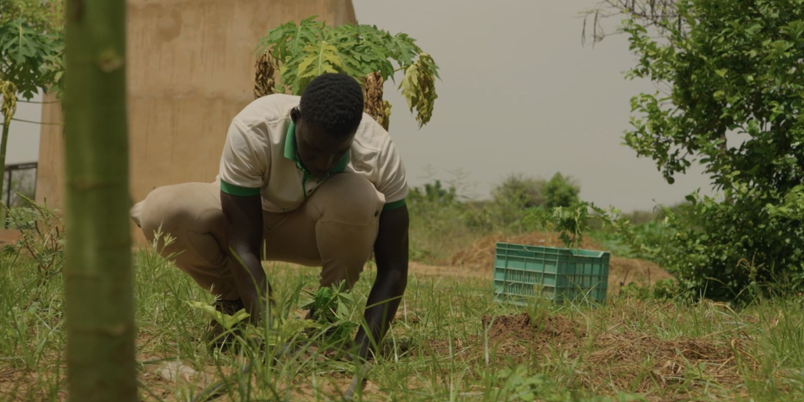 In Senegal, GAFSP's Food Security Support Project Changes Lives of ...
