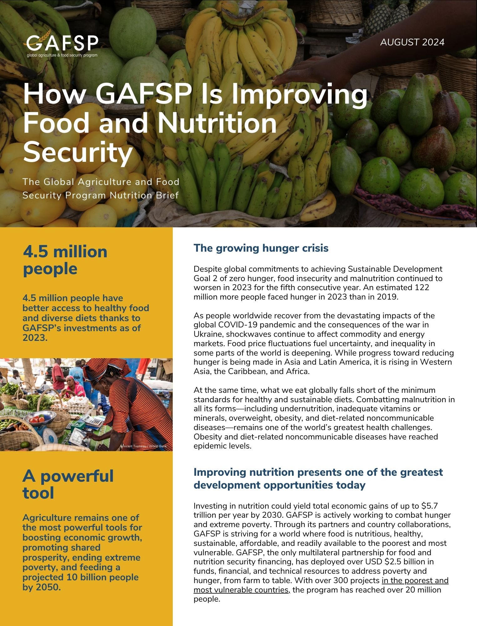 How GAFSP Is Improving Food and Nutrition Security | Global Agriculture ...