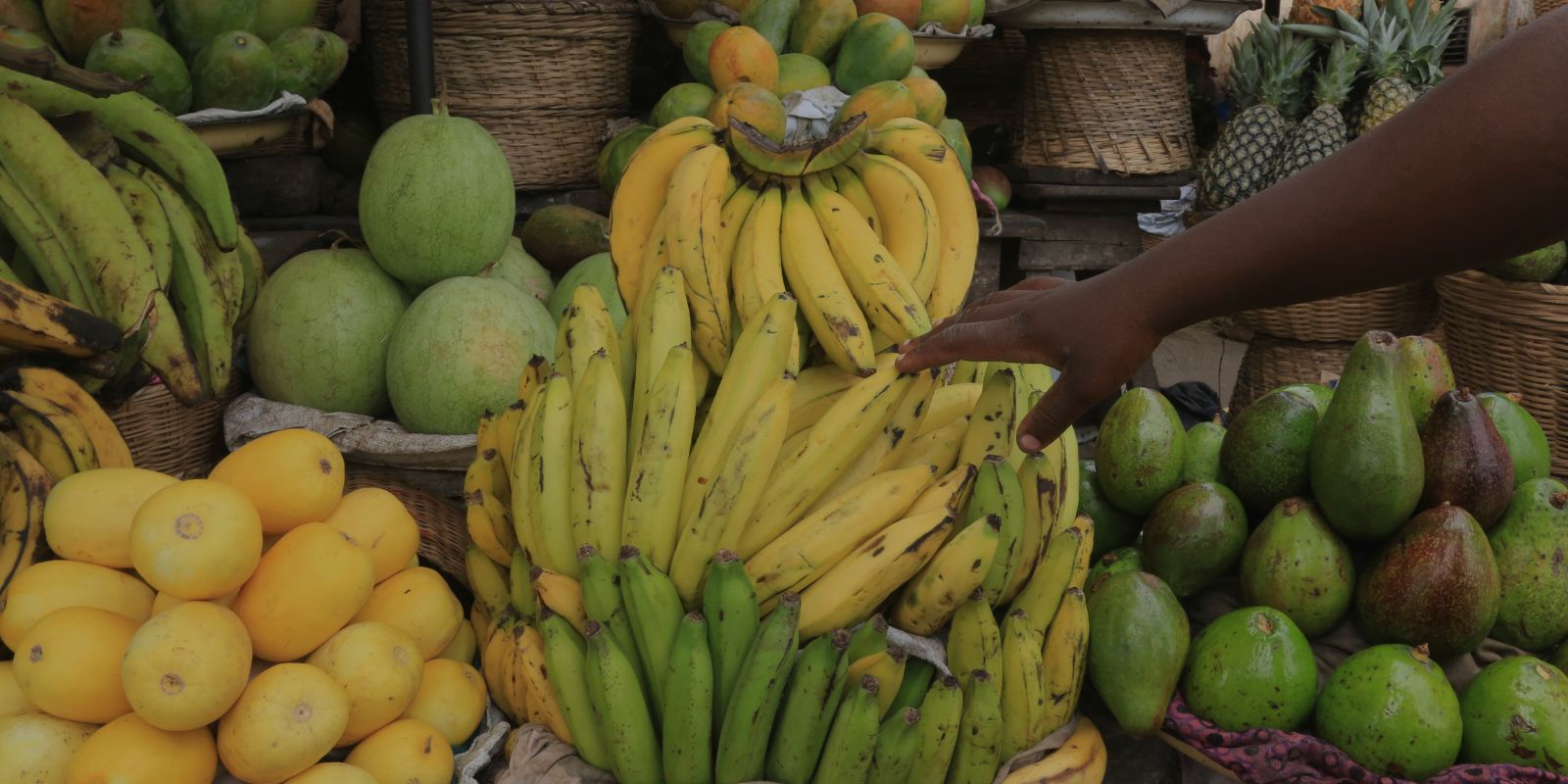 How GAFSP Is Improving Food and Nutrition Security | Global Agriculture ...
