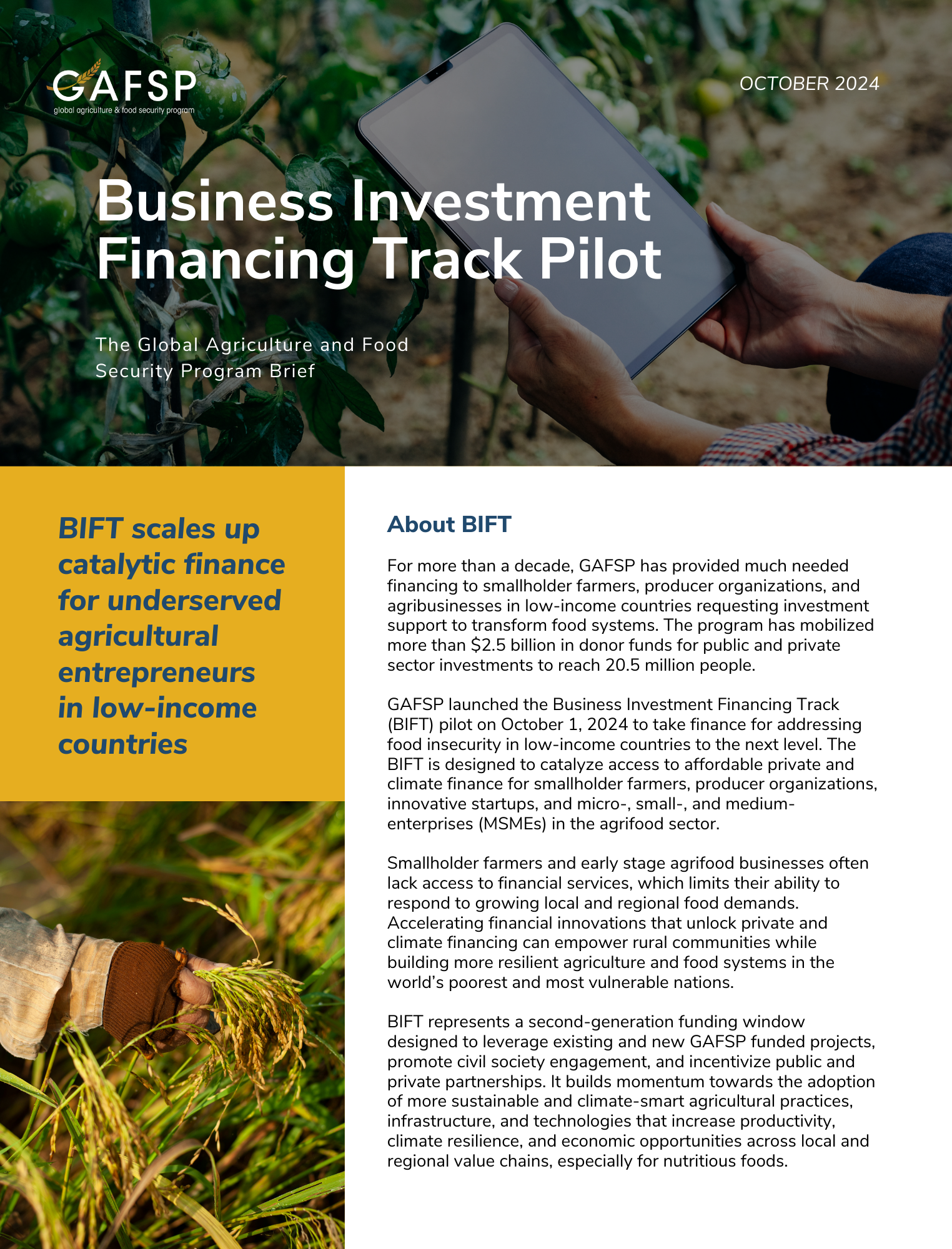 GAFSP BIFT Brief 2024 | Global Agriculture and Food Security Program
