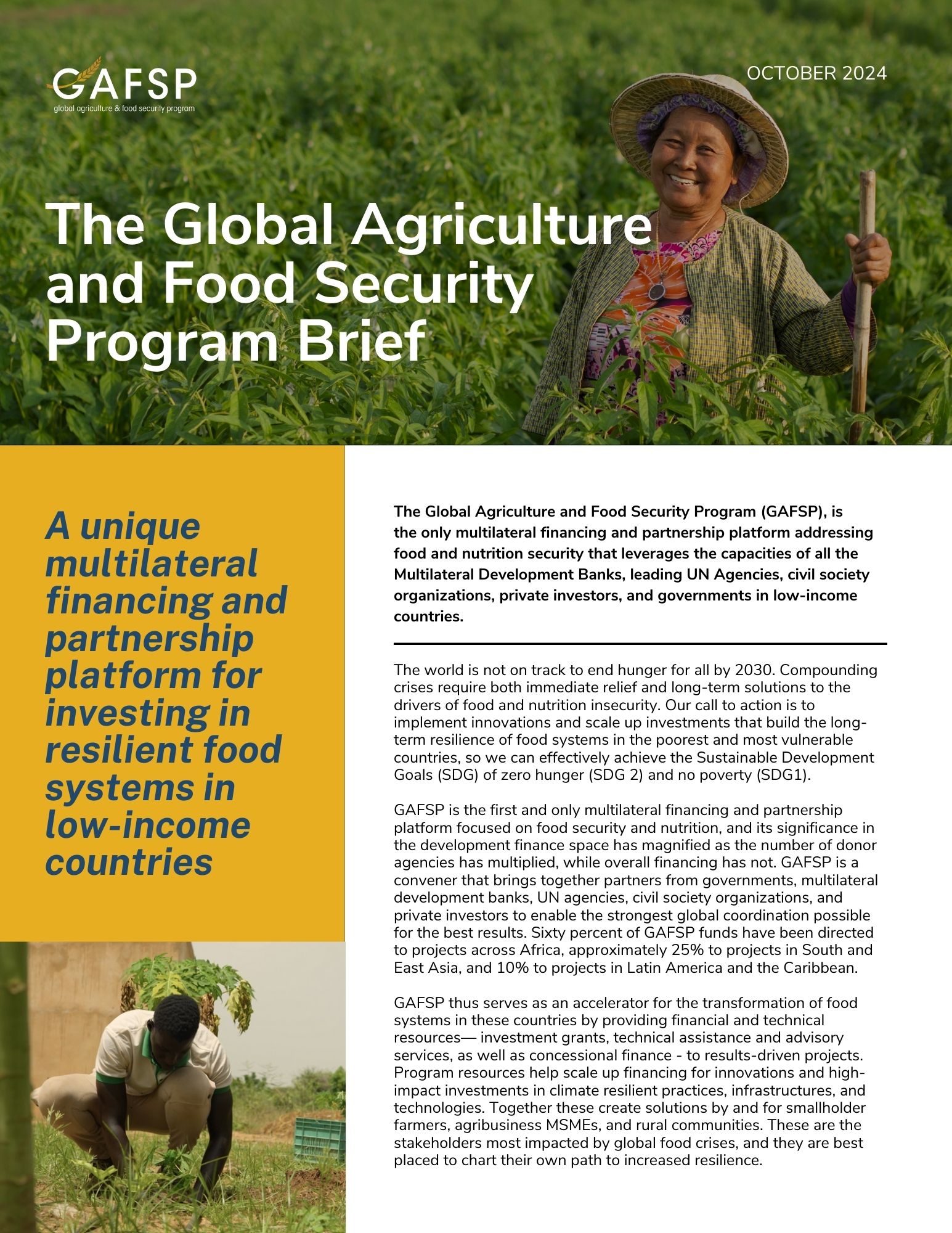 GAFSP Program Brief 2025 | Global Agriculture and Food Security Program