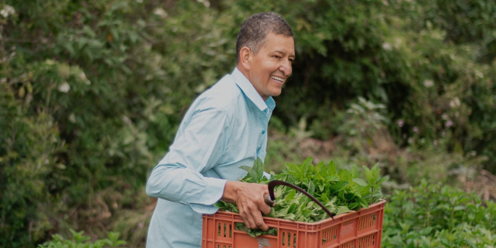 Global Agriculture and Food Security Program