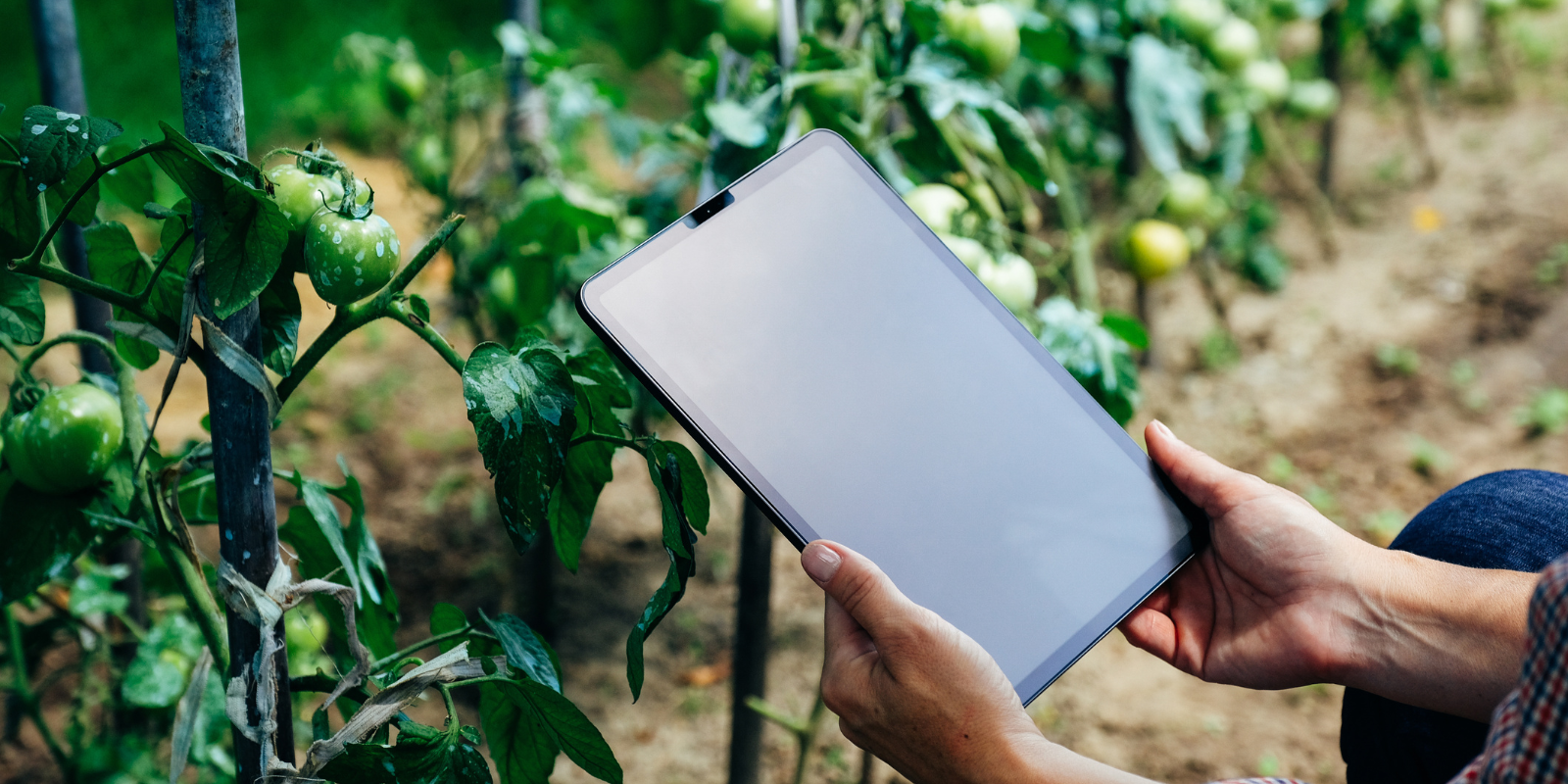 Global Agriculture and Food Security Program