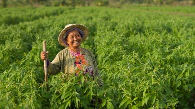 GAFSP Publishes the 2025 Program Brief | Global Agriculture and Food ...