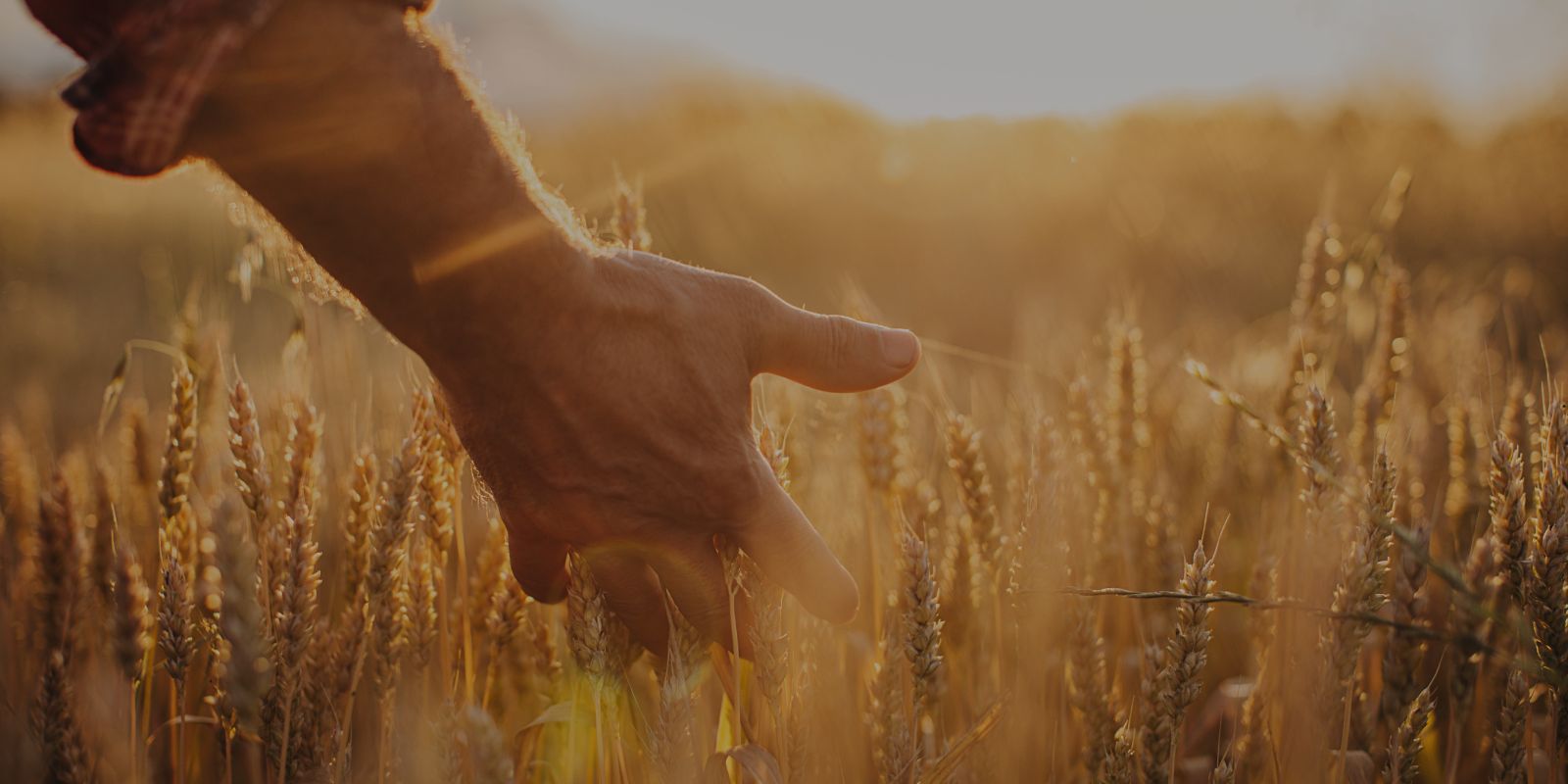 GAFSP Embarks on a Clear Pathway to Deepen Impacts on Global Food and ...