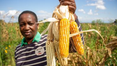 GAFSP Embarks on a Clear Pathway to Deepen Impacts on Global Food and ...