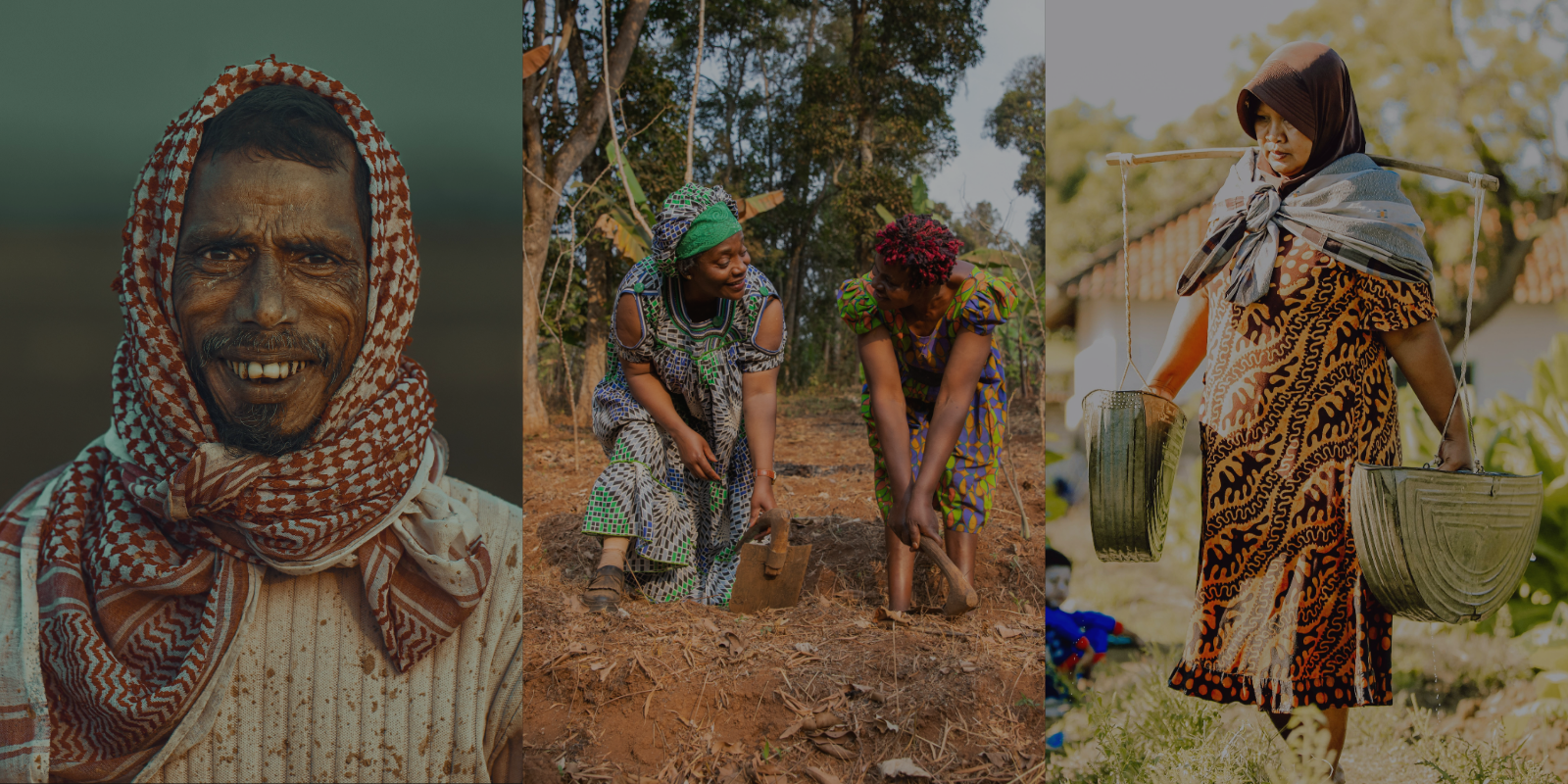 GAFSP Launches 8th Call for Proposals for Producer Organization-led ...