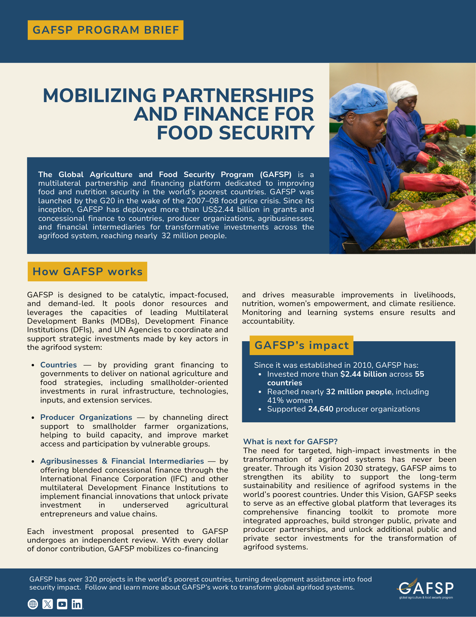 GAFSP Program Brief 2025 | Global Agriculture and Food Security Program