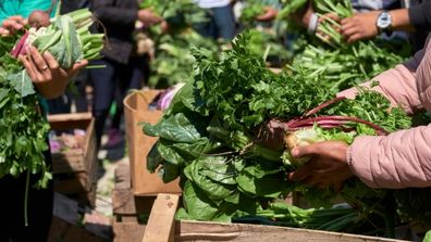 GAFSP Case Studies in Haiti, Honduras and Senegal Highlighted in UVM ...