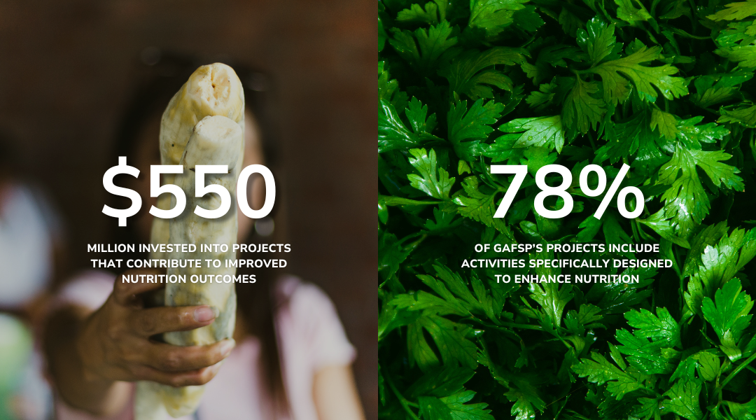 Thematic Areas | Global Agriculture and Food Security Program