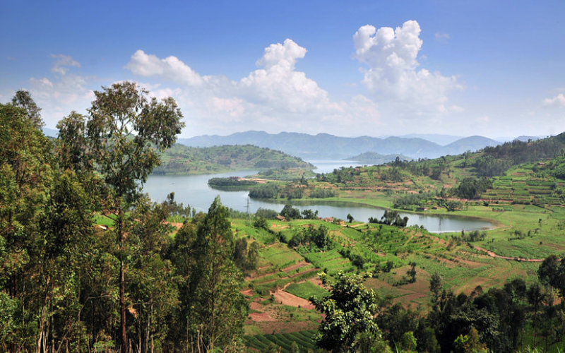 Rwanda’s Greenhouses Bring Growth | Global Agriculture and Food ...
