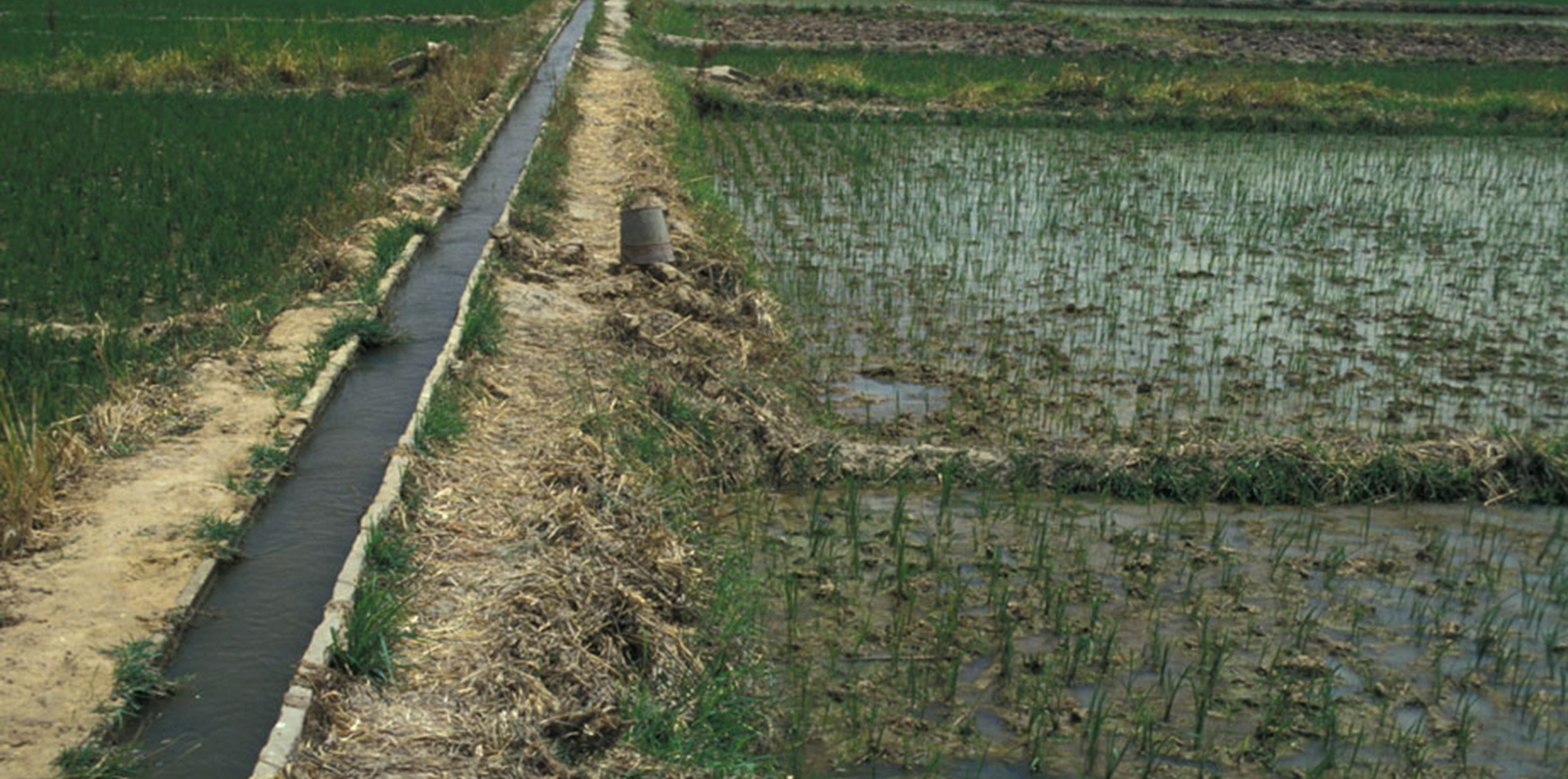 Food and Agriculture Sector Development Project (FASDEP) | Global ...