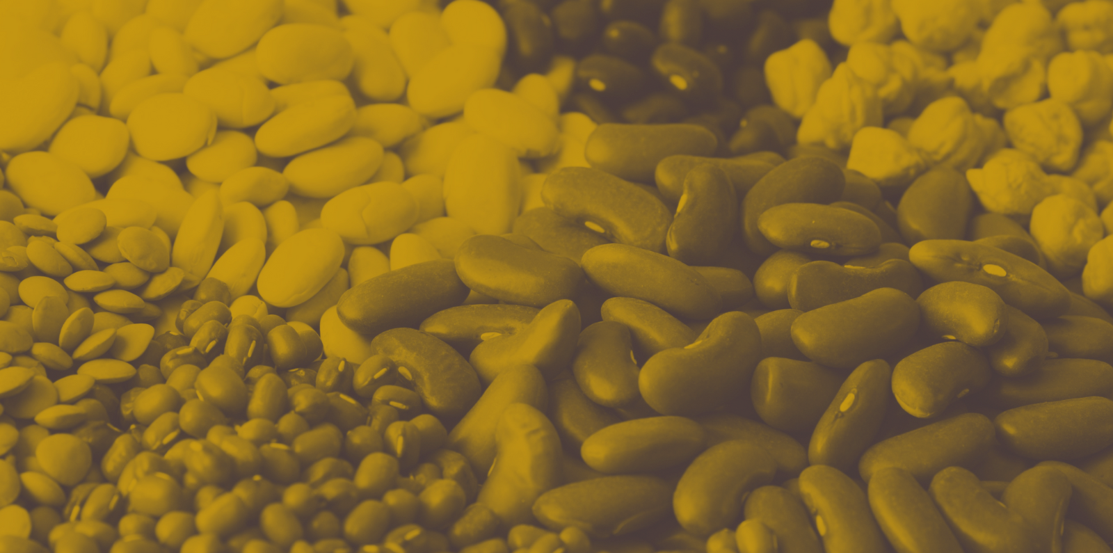 GAFSP speaks at the landmark “Uniting for Global Food Security ...