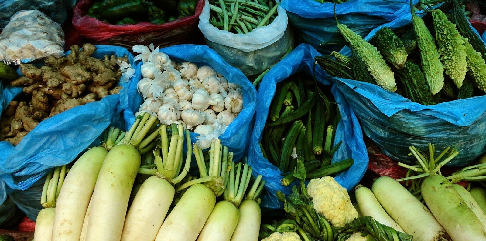 Vegetables in Hilly Areas Project | Global Agriculture and Food ...