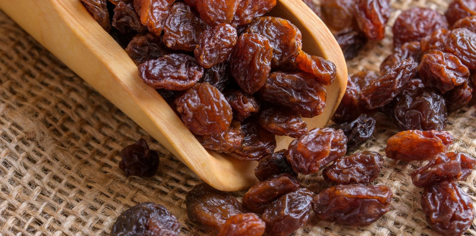 Helping Afghanistan Regain its World-Class Raisin Export Industry ...