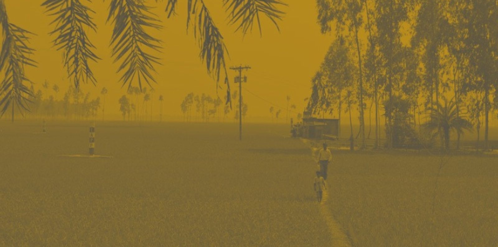 Accelerating Food Systems Resilience: GAFSP Launches a New Call for ...