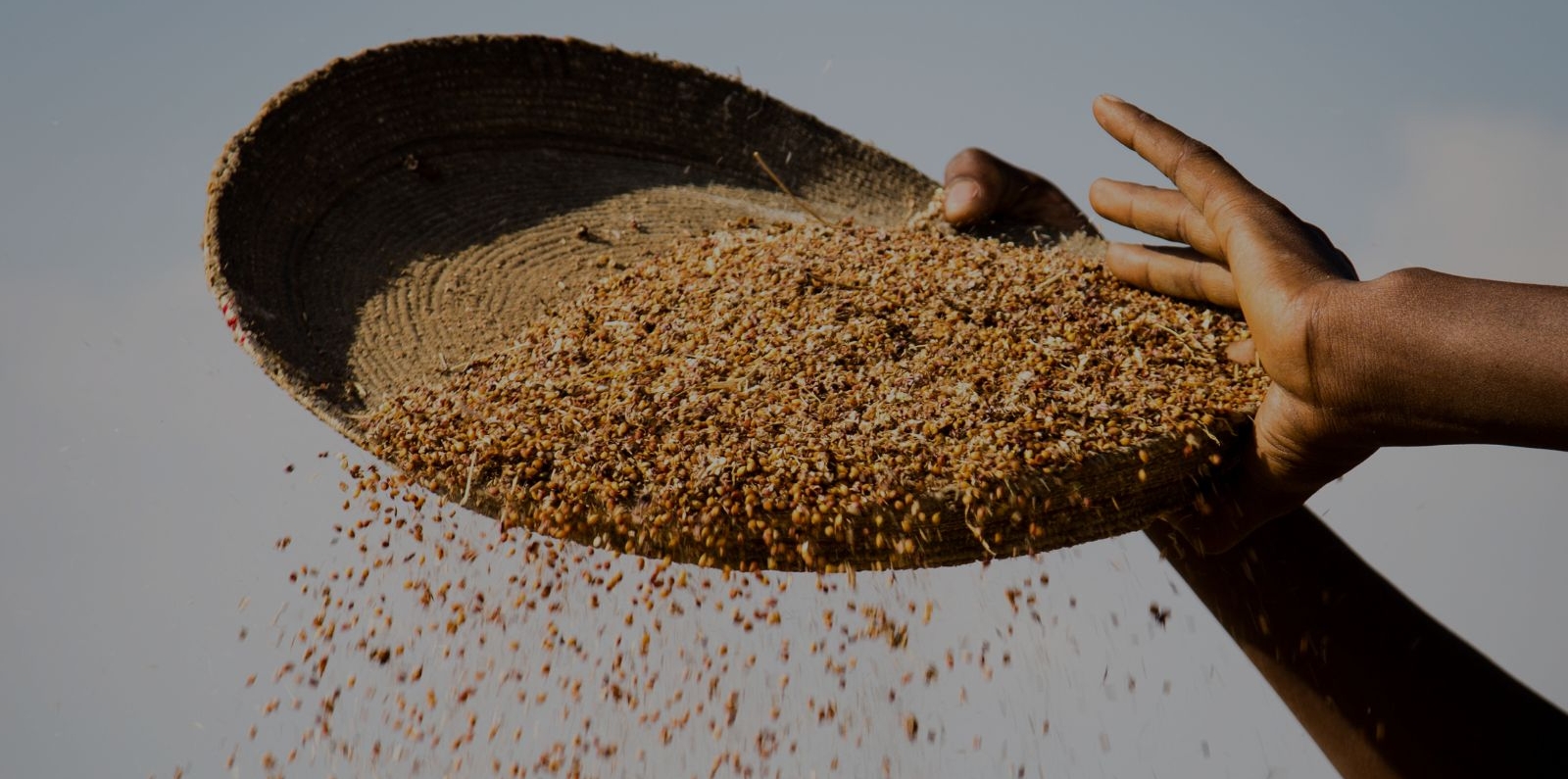 Working Together to Build Resilient Food Systems | Global Agriculture ...