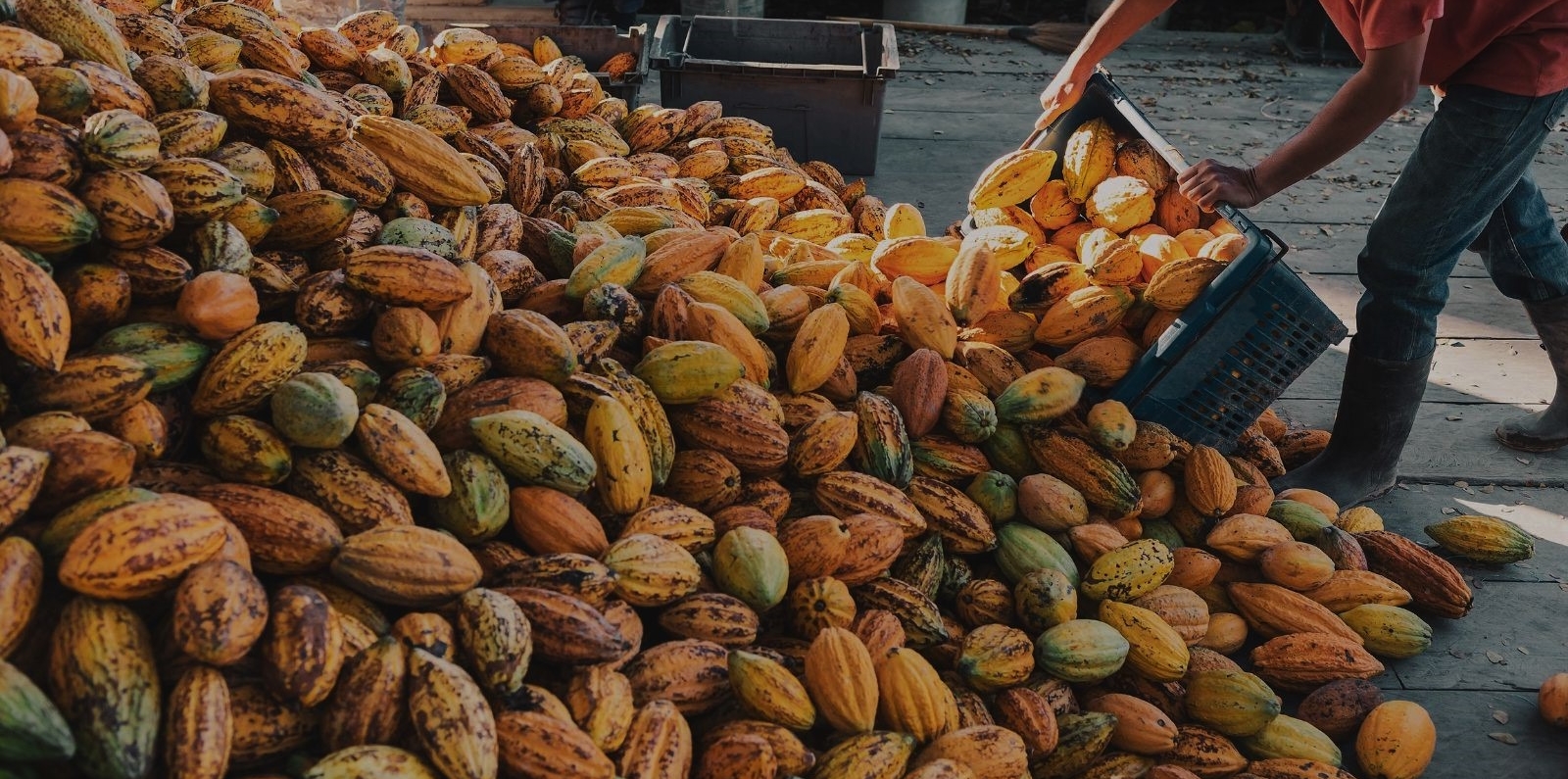 It’s Time to Fix Our Food Systems | Global Agriculture and Food ...