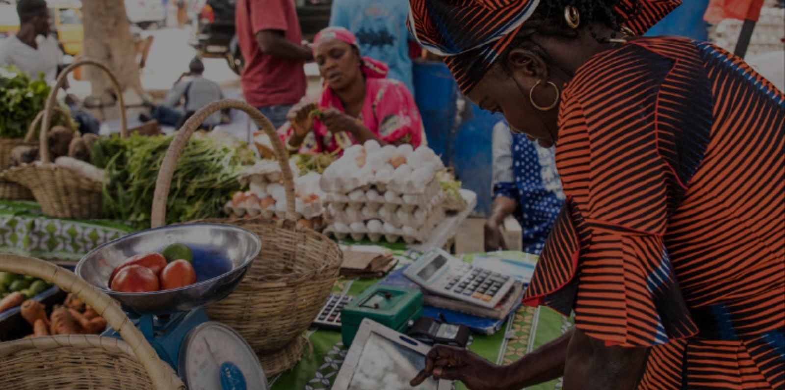 Rising to the Challenge of a Food Crisis: GAFSP Annual Report 2022 ...