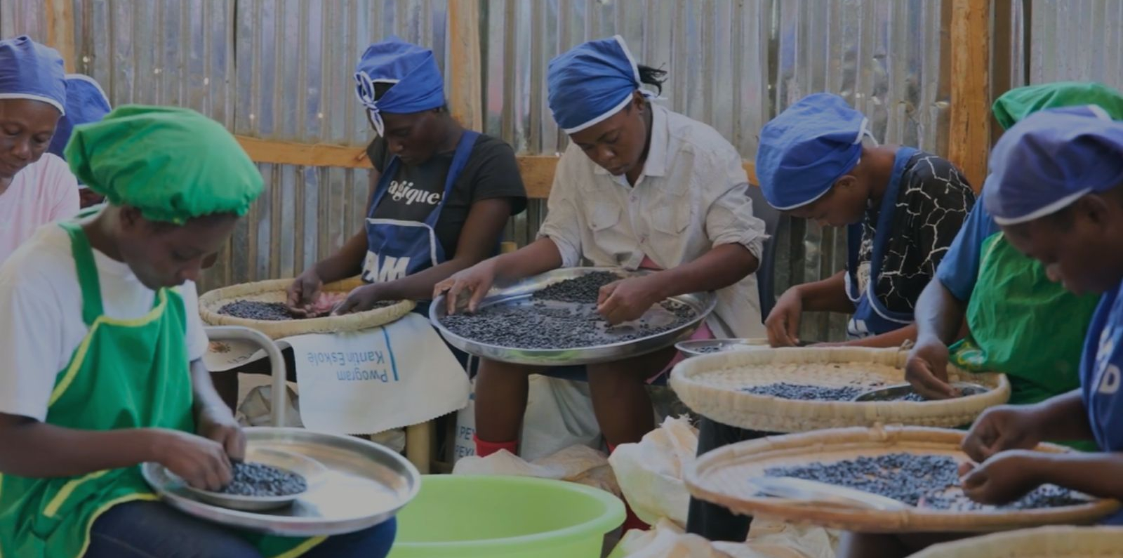 Empowering Farmers: How GAFSP and WFP Are Transforming Food Security ...