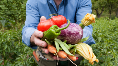 Global Agriculture and Food Security Program