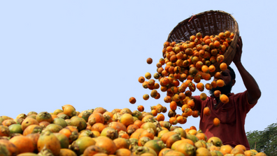 Global Agriculture and Food Security Program