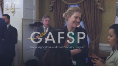 Global Agriculture and Food Security Program